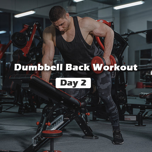 Dumbbell Back Workout | Day 2